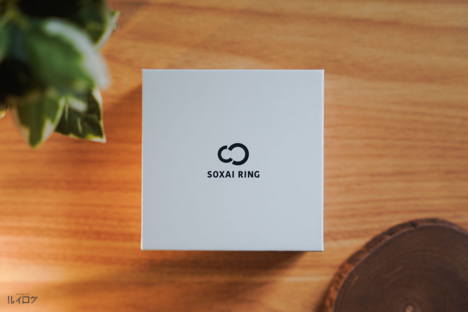 SOXAI RING 1 レビュー。日本製スマートリングで健康管理！ | ルイログ